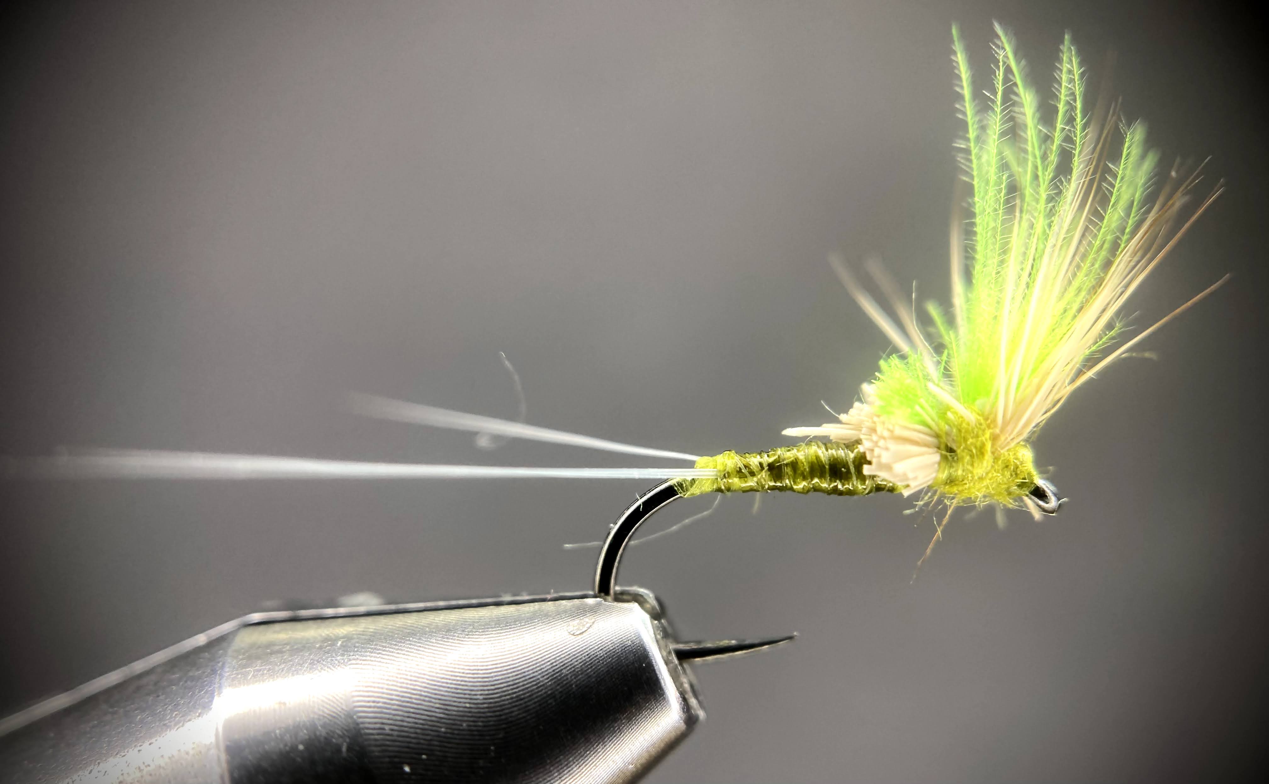 Blue Winged Olive Fly (BWO)