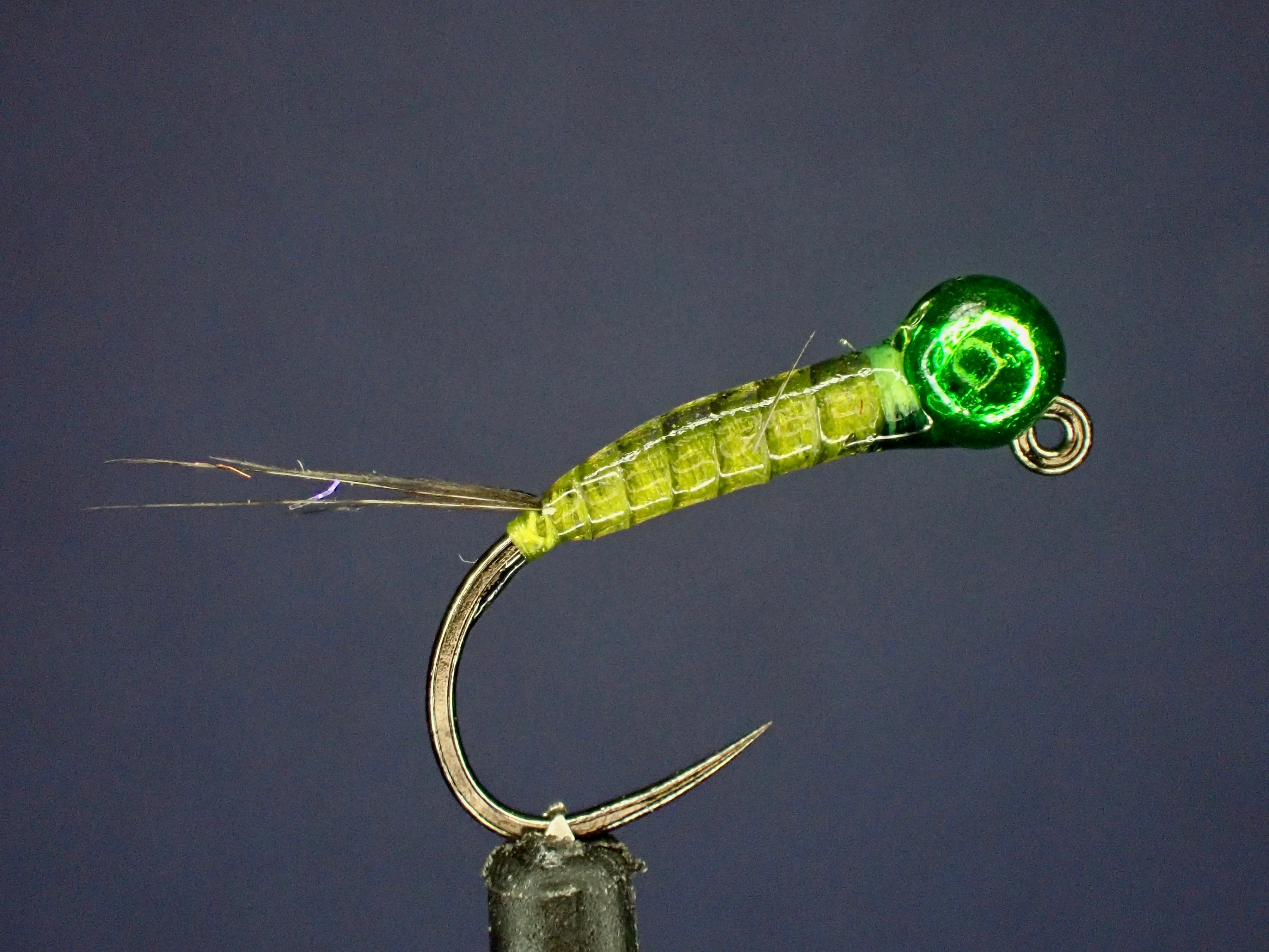 Unveiling the BWO Perdigon Nymph: A Must-Have Fly Pattern — Leland Fly ...