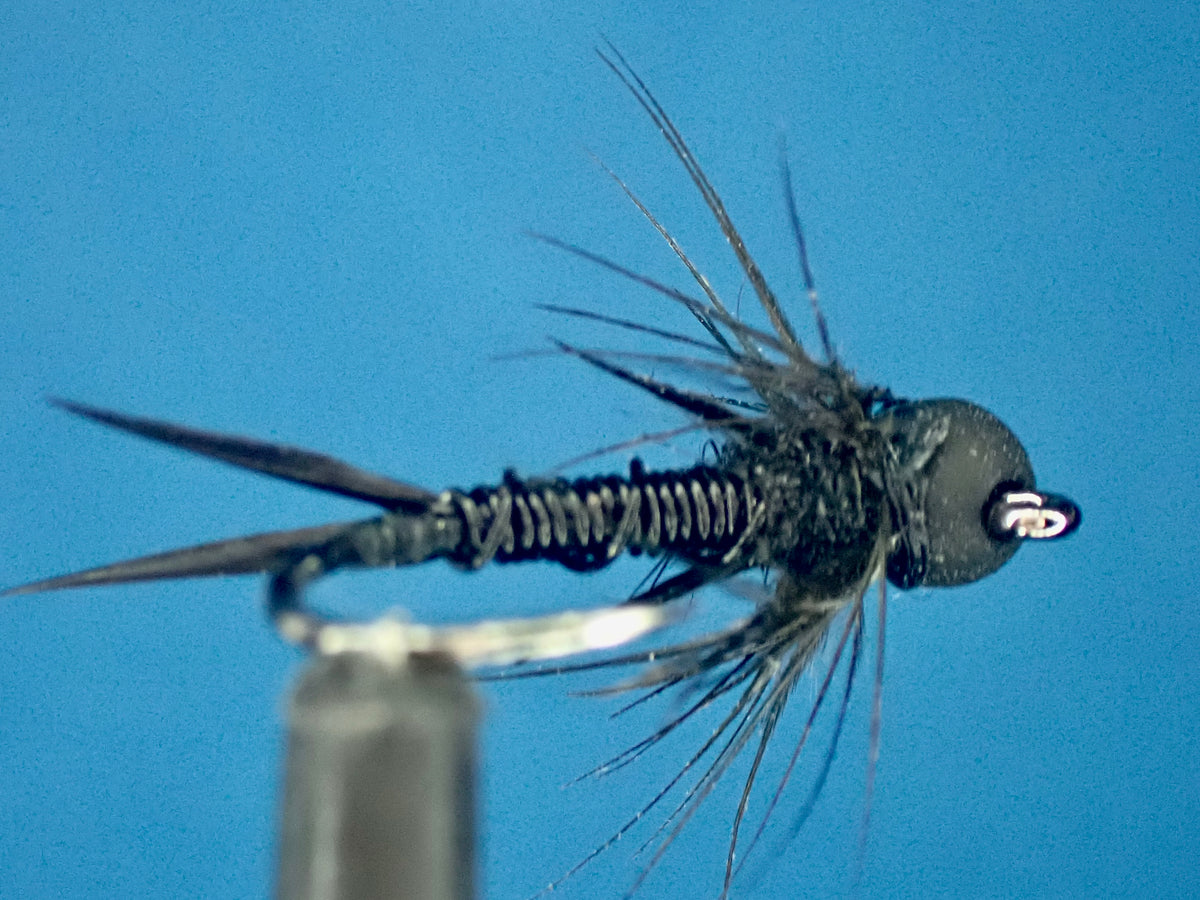 Tie Your Adventure: The Little Black Stonefly Soft Hackle Nymph ...