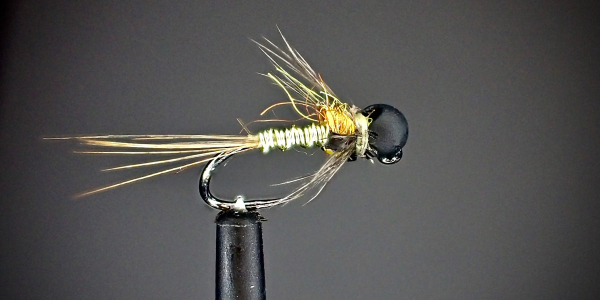 Wired Body PMD Split Case Nymph — Leland Fly Fishing