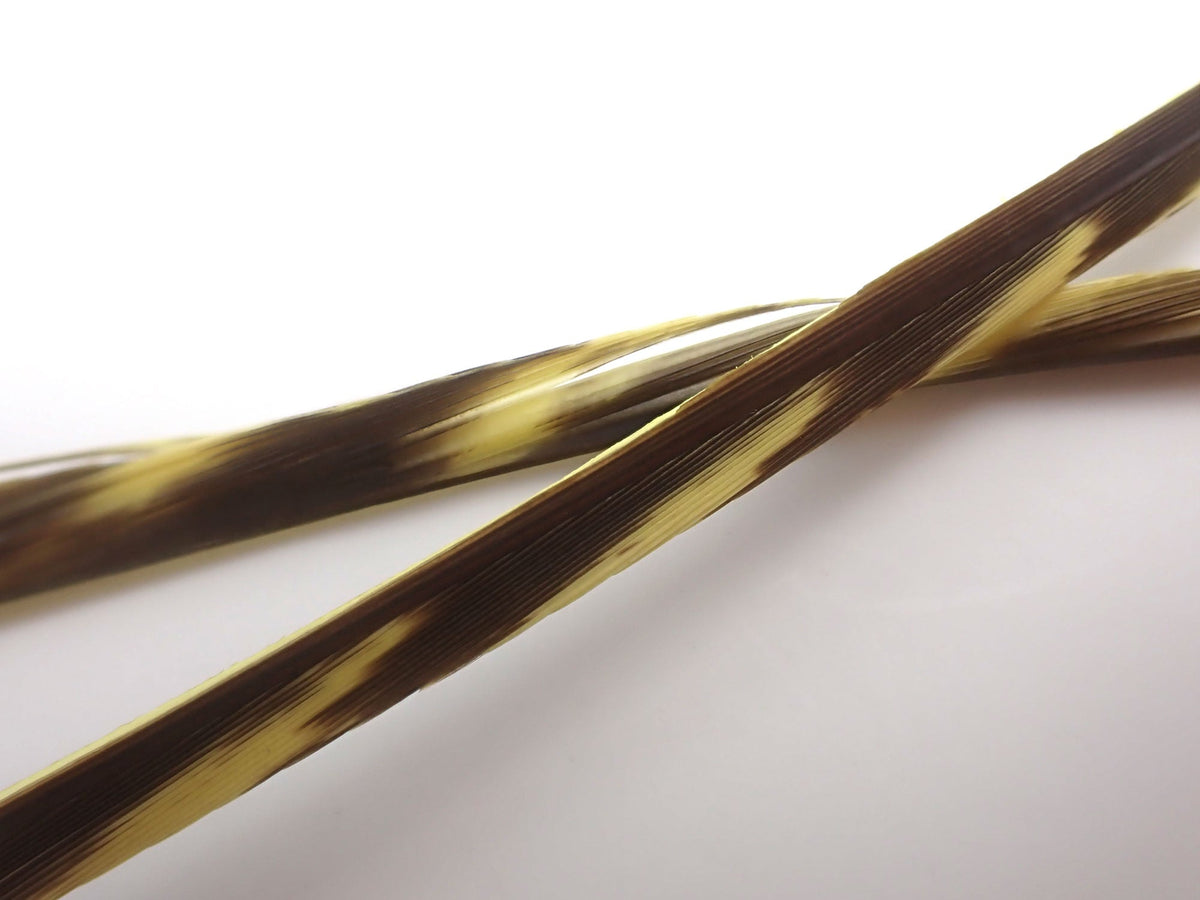 Magpie Wild Barred Turkey Biot Quills — Leland Fly Fishing