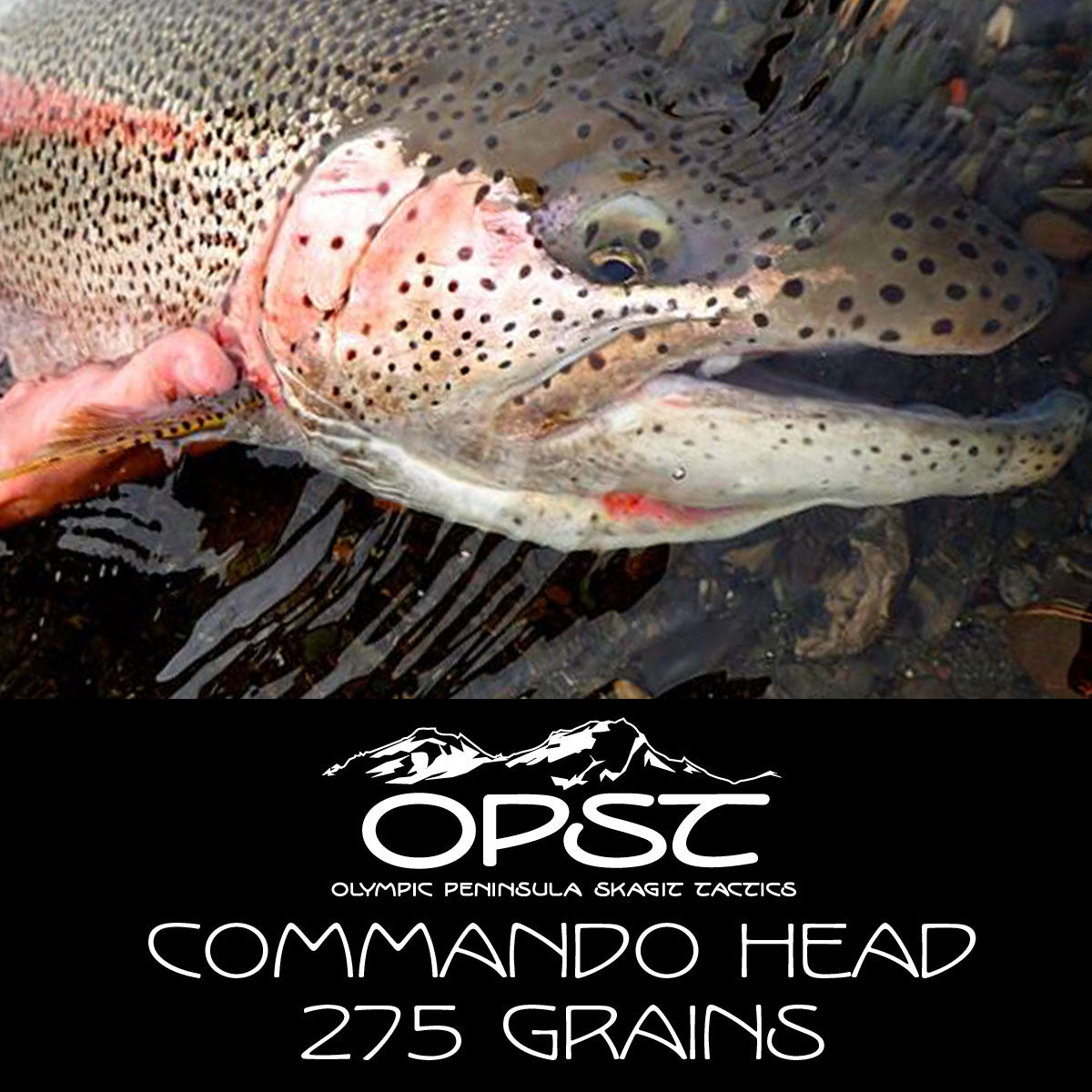 OPST Commando Head - 275grains - 13.5ft — Leland Fly Fishing